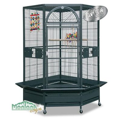 Liberta Angel Parrot Cage | Parrotize UK