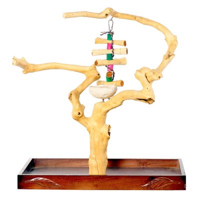 Java Trees & Branches - Parrotize UK