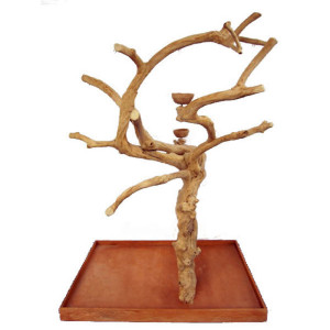 Java Trees & Branches - Parrotize UK