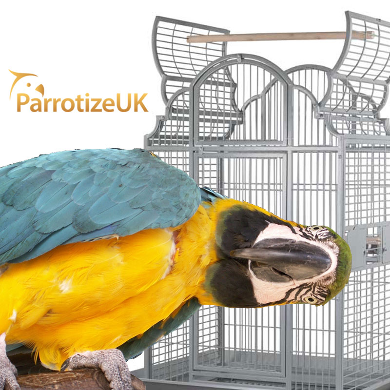 Liberta Angel Parrot Cage - Parrotize UK